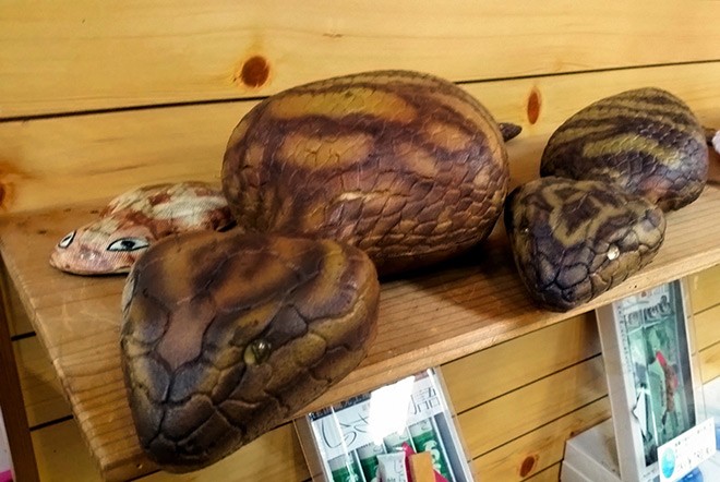 Film about ‘phantom snake’ highlights plight of rural areas | The Asahi ...