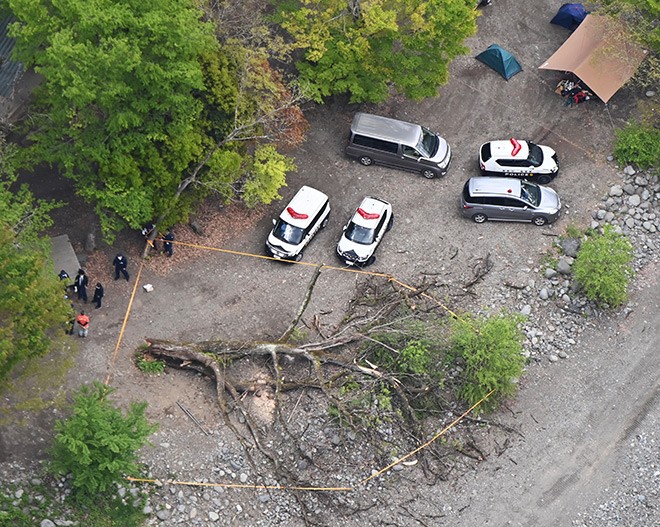 Tree falls on couple camping in Kanagawa, killing woman | The Asahi ...