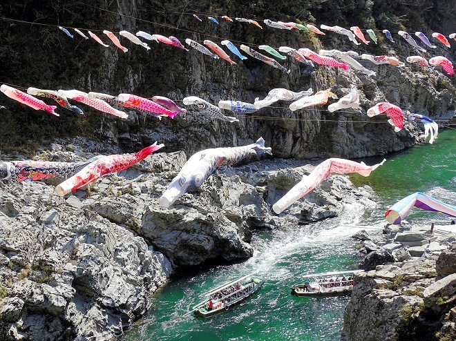 Oboke valley’s giant carp streamers a sight to behold | The Asahi ...