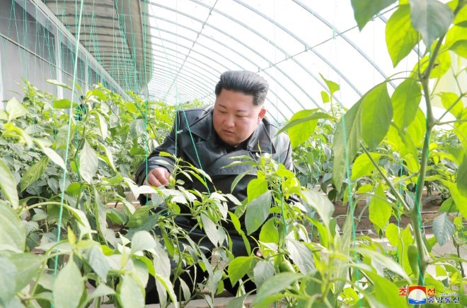 North Korea’s Kim demands more farmland to boost food production | The ...
