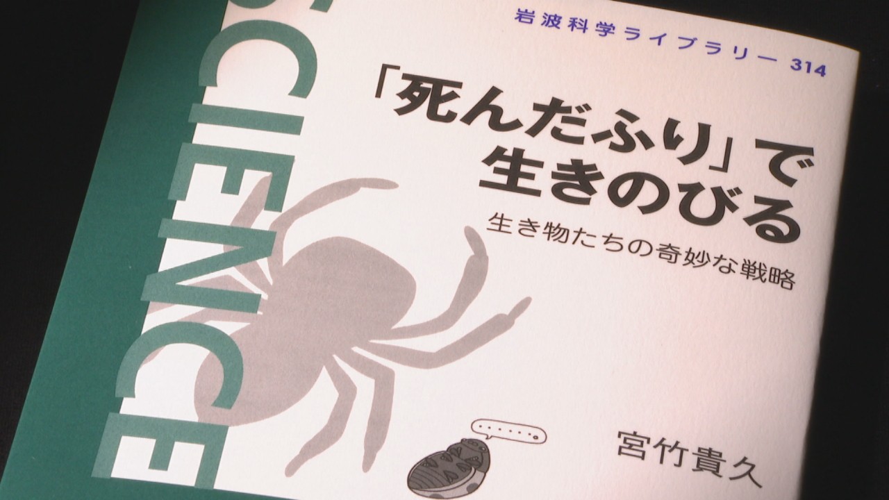 「死んだふり」にはメリットある 昆虫学者が世界で初めてデータで証明 岡山大学 Ksbニュース Ksb瀬戸内海放送