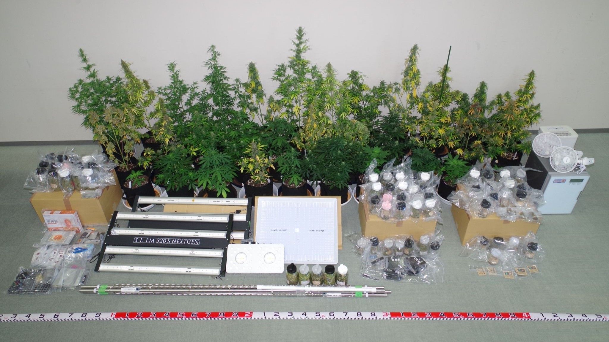 大麻を栽培や大麻入りのクッキーを所持した疑い 岩手県の夫婦逮捕 香川・丸亀警察署 | KSBニュース | KSB瀬戸内海放送