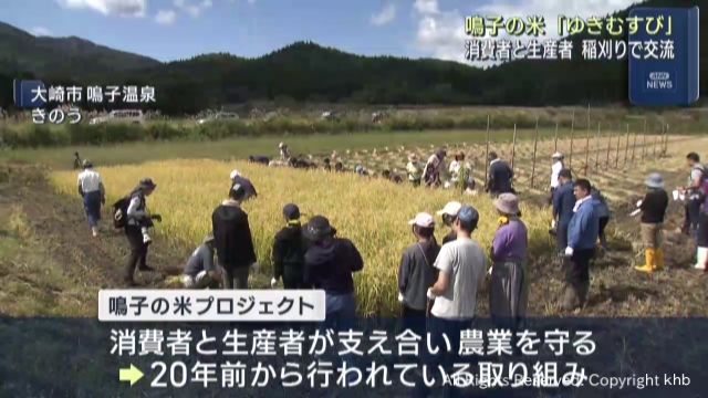 消費者と生産者が交流 鳴子の米プロジェクト 20年目の稲刈り交流会 | khb東日本放送