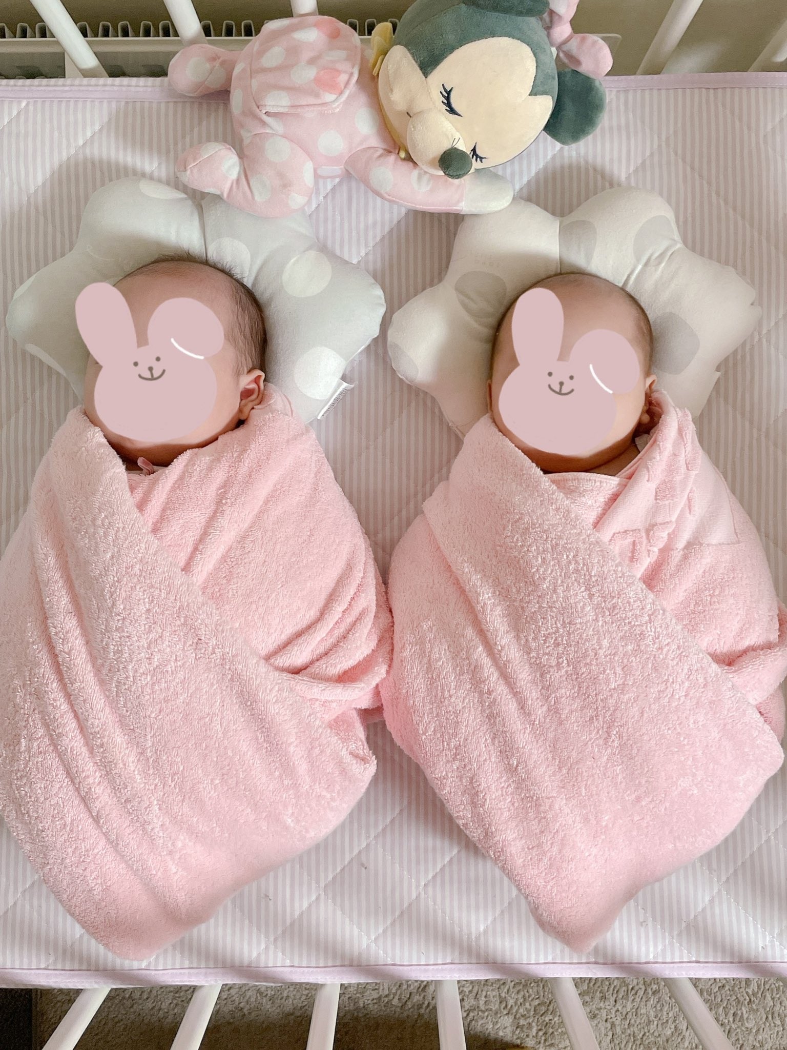 この世の終わり!? ドア越しに号泣する双子、母は「掃き掃除したいだけ…」 | ほ・とせなNEWS