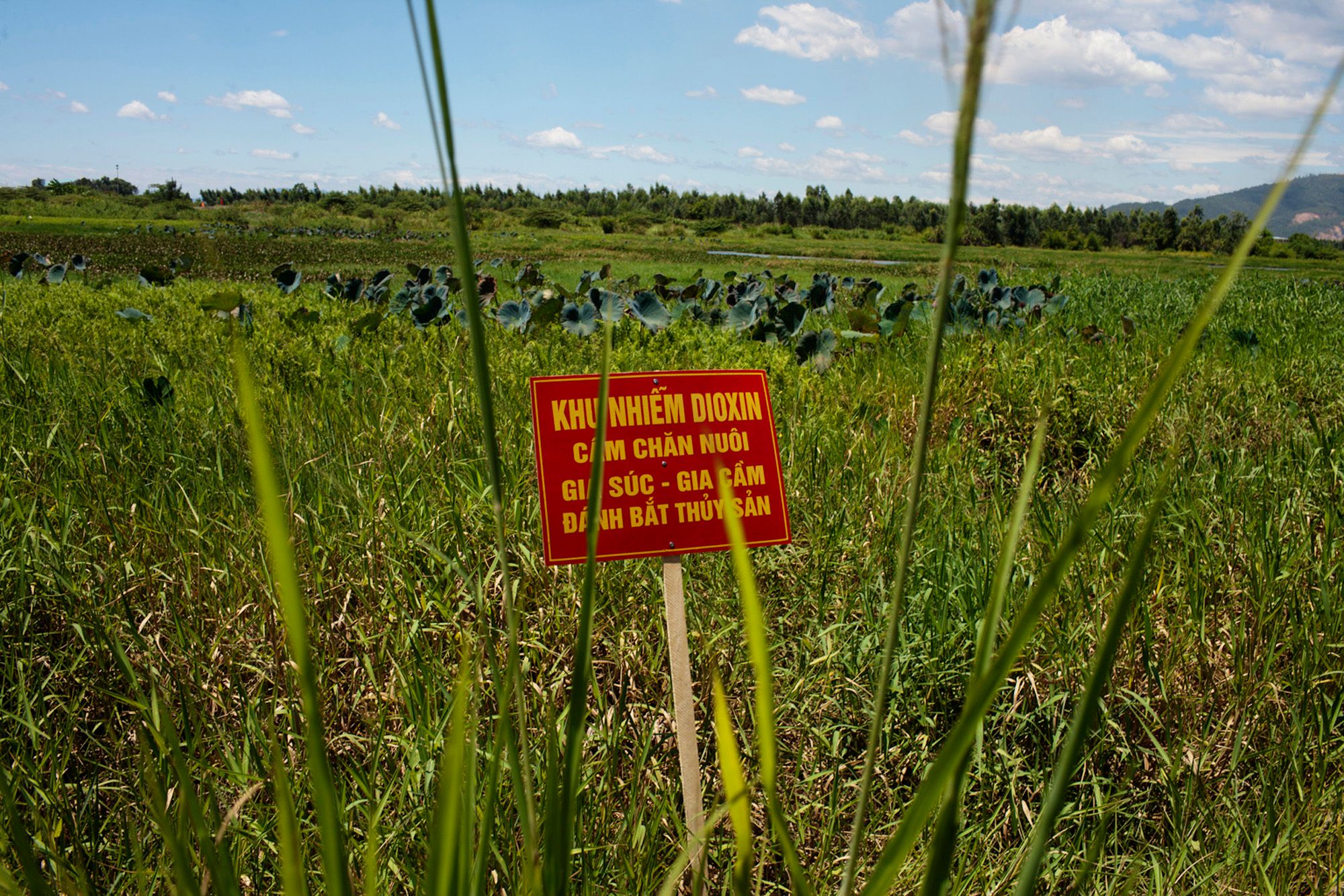USAID cuts jeopardize Agent Orange cleanup and other efforts critical ...
