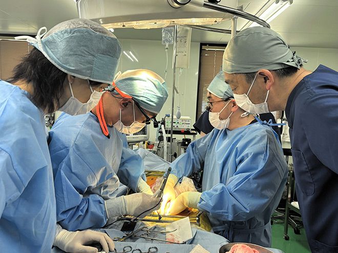 Start-up plans Japan’s first pig-to-human organ transplant | The Asahi ...