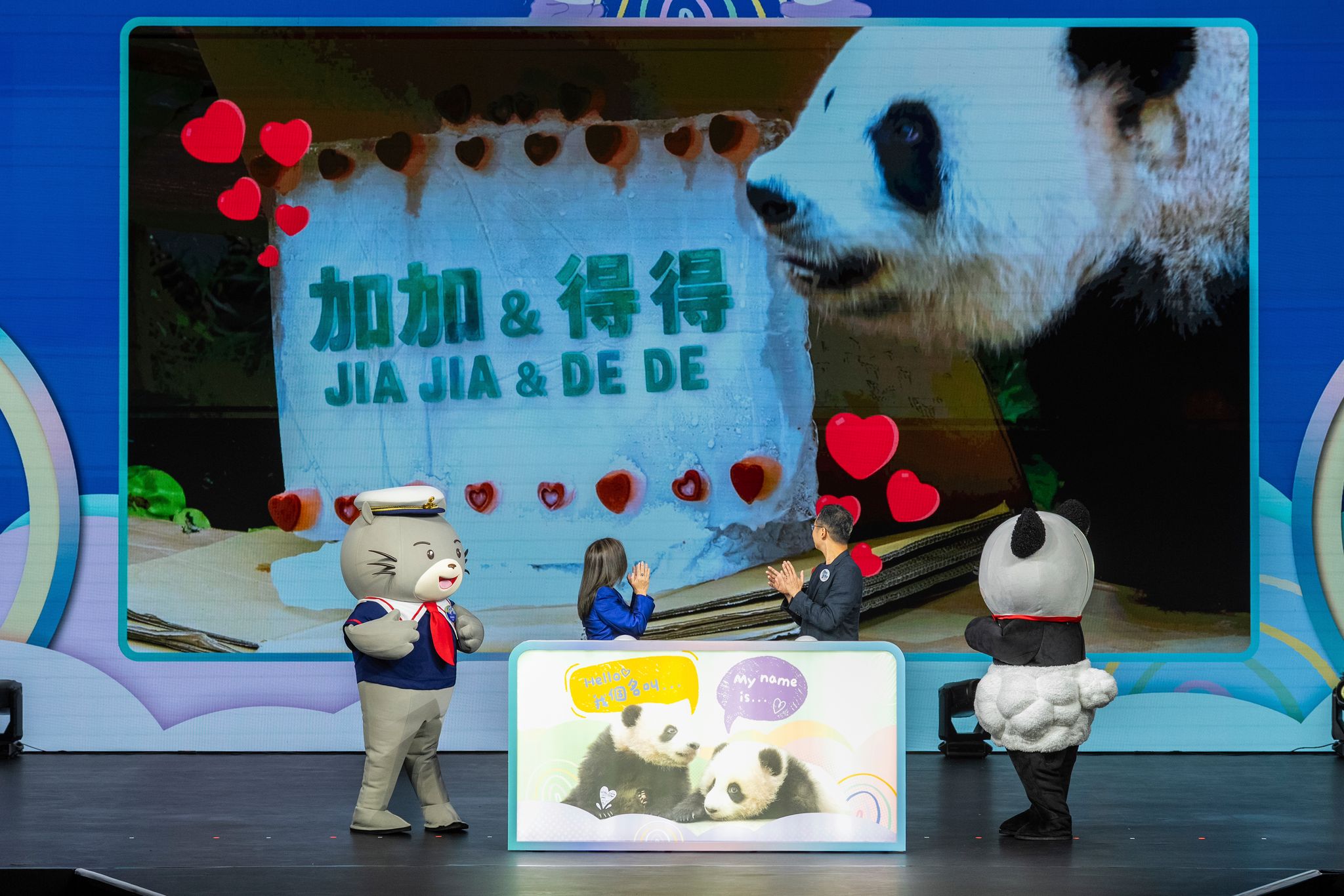 Hong Kong's baby pandas finally get names. Meet Jia Jia and De De | The ...
