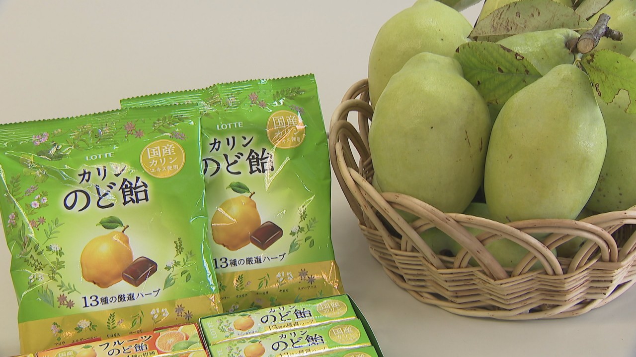 香川・まんのう町がロッテと連携協定 特産品の「カリン」をPR | KSBニュース | KSB瀬戸内海放送