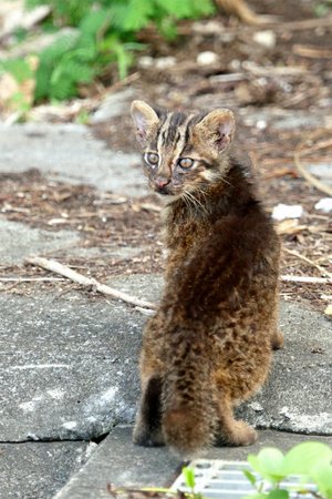 National Report news | The Asahi Shimbun: Breaking News, Japan News and ...