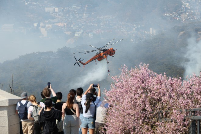 Forest fire in central Seoul forces evacuation of 120 homes | The Asahi ...