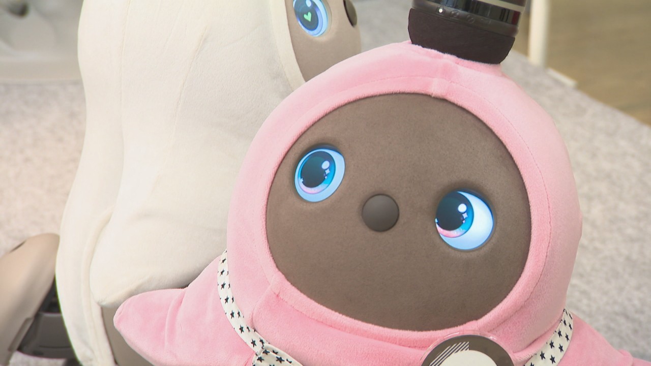 思わず一緒に住みたくなる 次世代家庭用ロボット「LOVOT2.0」の体験販売会 岡山市 | KSBニュース | KSB瀬戸内海放送