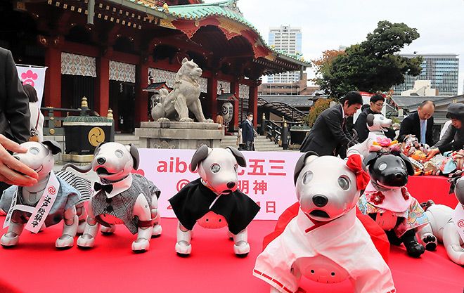 ‘Shichi-Go-San’ ceremony held for Aibo robot dogs in Tokyo | The Asahi Shimbun: Breaking News ...
