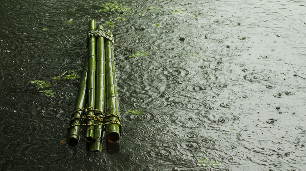 雨は、街をつややかに変える。永瀬正敏が撮った大分
