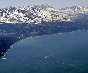 Yahoo Japan, Line integrate businesses to be major ‘3rd force’ | The Asahi Shimbun: Breaking ...