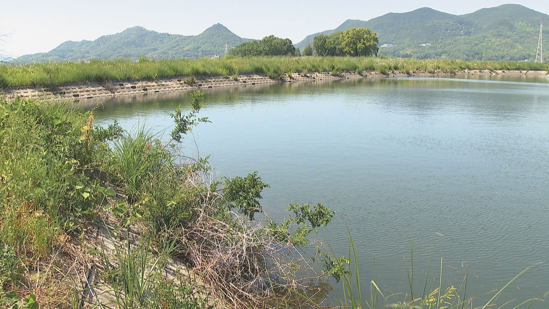 ため池は何のため？いくつある？ 香川県に聞いてみた【みんなのハテナ】 | KSBニュース | KSB瀬戸内海放送