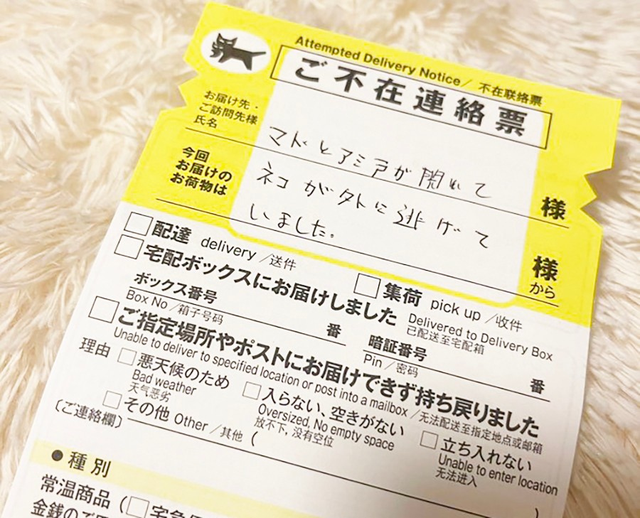 覚えがない不在票に困惑→配達されたのは脱走した猫！？ ヤマト配達員の神対応に「黒猫が保護してくれた」「無事でよかった」｜まいどなニュース